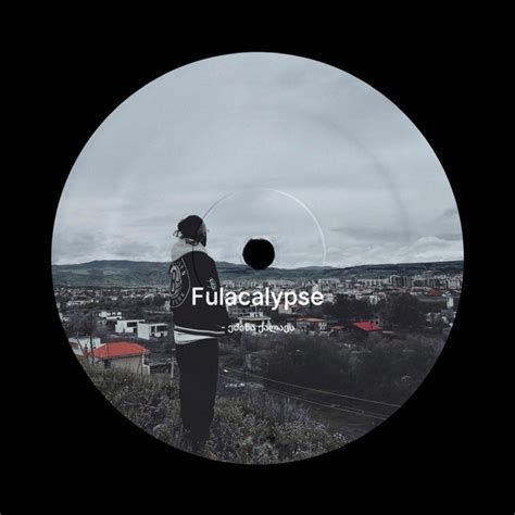 Fula Calypse Genres Songs Analysis And Similar Artists Chosic