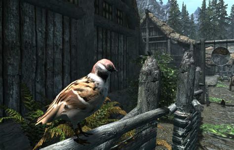 Птицы Скайрима Se Birds Of Skyrim Sse Edition Существа Tes V