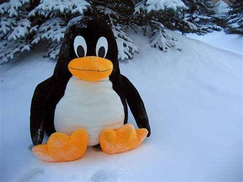 Guida Come Installare Linux Su Android Techelp