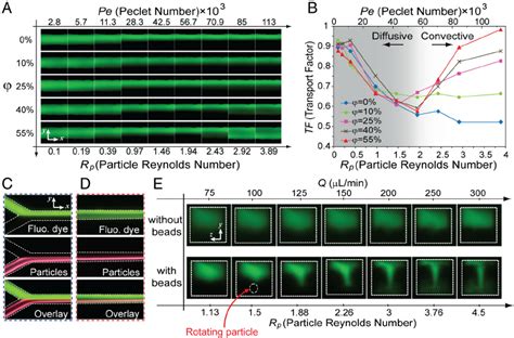 Experimental Evidence Confirms Particle Induced Convection A Download High Quality