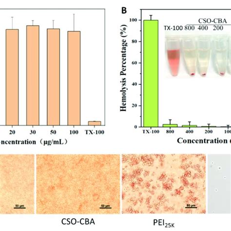 Results Of Cso Cba Biocompatibility A Cytotoxicity Test Results Of