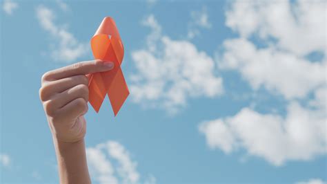 Understanding Multiple Sclerosis Symptoms Treatment And Lifestyle