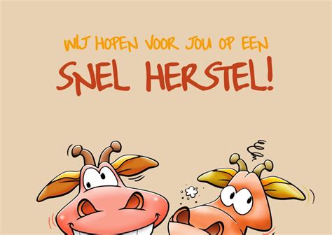 Een Verrekte Grappige Beterschapskaart Met Twee Kaartje2go