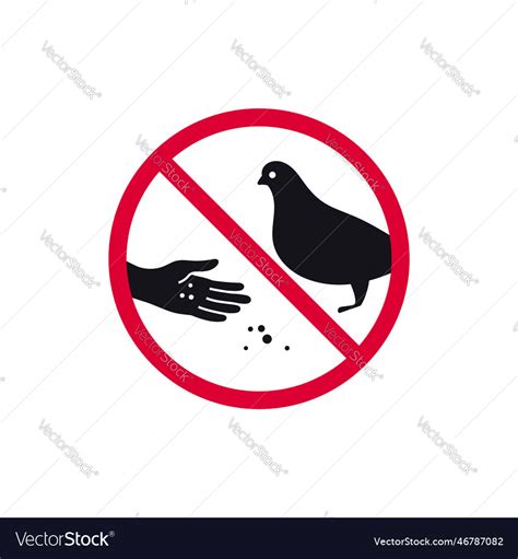 Do Not Feed Birds Prohibited Sign Forbidden Vector Image