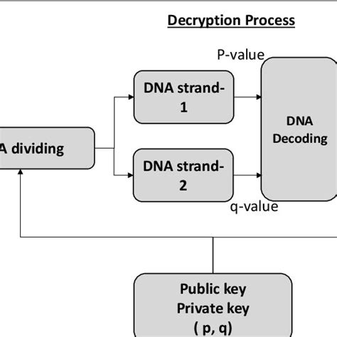 Decryption Process Of The Proposed Cryptographic System Download