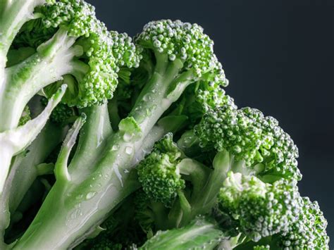 The Refed Surplus February 2024