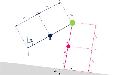 Figure 1 From Investigation Of The Compass Biped Walkers Passive Dynamics And Trajectory