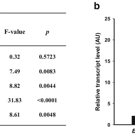 Effect Of Transient Ischemia On The Expression Of Selected Transcripts Download Scientific