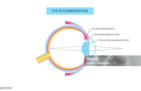 Eye Accommodation Poster Stock Illustration Download Image Now