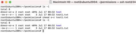 how to set permissions on files and directories on ubuntu server 20 04