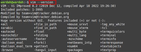 How To Install Vim On Linux Mint