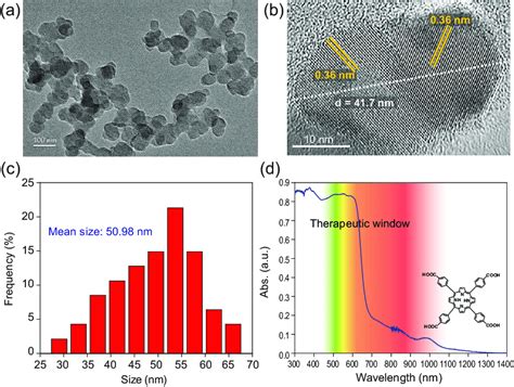 The Characterization Of The Nano Sa Tcpp A The Morphology Of The