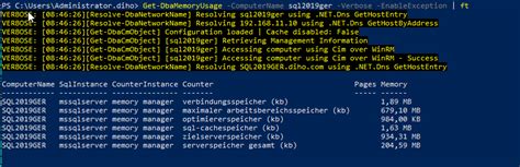 Get Dbamemoryusage Does Not Show Any Result On Non Us System · Issue