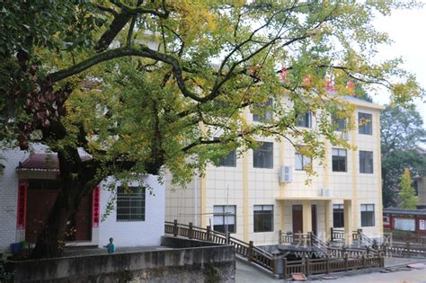 大溪边乡黄谷村臭水塘改造成景观鱼塘 开化新闻网