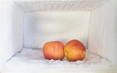 냉장고의 냉동 실에 빨간 사과입니다 얼음 냉장고 벽 안에 형성 0명에 대한 스톡 사진 및 기타 이미지 0명 강철 건강한