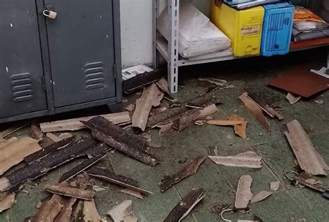 Chuva Forte Destelha Escolas E Derruba árvores Em Volta Redonda
