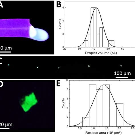 Characterization Of Individual Droplet Printing A Single Video Frame