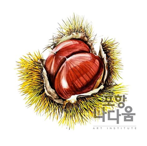 밤 송이 개체묘사 그림 밤 드로잉