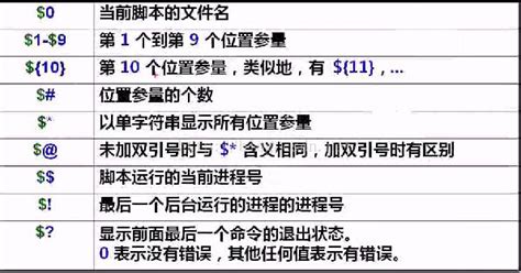 Shell 编程基础 语法快速入门shell语法快速 Csdn博客