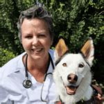 Cat Reproduction Everything You Need To Know About Feline Sexuality Cat Bytes