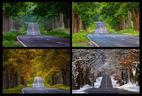 Four seasons in one picture, Germany