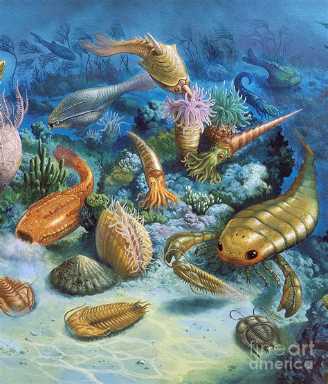 Prehistoric Marine Life