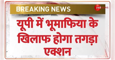 Up Land Mafia News Anti Mafia Cell Will Be Formed In Up Up Land Mafia