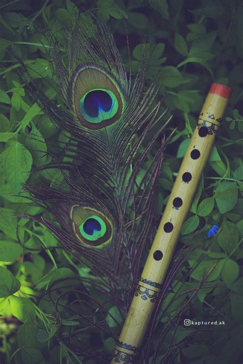 Krishna Feather Wallpapers Top Free Krishna Feather Backgrounds