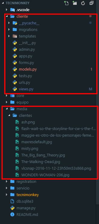 Python 3x ¿como Eliminar Imágenes Almacenadas En Media Usando
