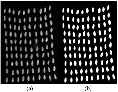 Research On The Method Of Imperfect Wheat Grain Recognition Utilizing Hyperspectral Imaging