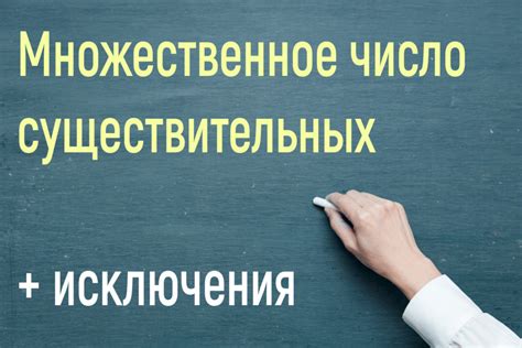 Образование множественного числа существительных в английском языке
