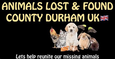 Lostbox North East Lostbox North East Lost And Found