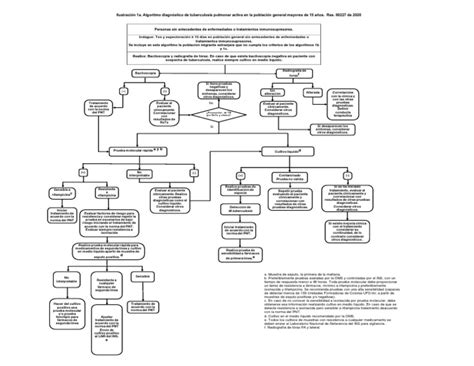 1a Algoritmo De Tb Población General Pdf Tuberculosis