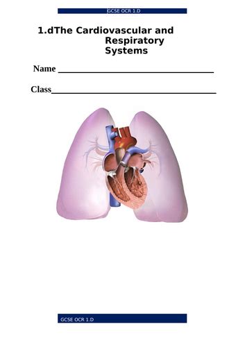 Gcse Pe Revision Booklets Teaching Resources