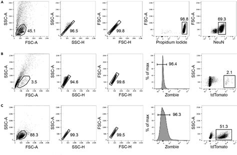 Figure 5 From Miniaturization Of Smart Seq2 For Single Cell And Single Nucleus Rna Sequencing