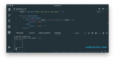 Python Program To Print A Star Hollow Square Pattern Codevscolor