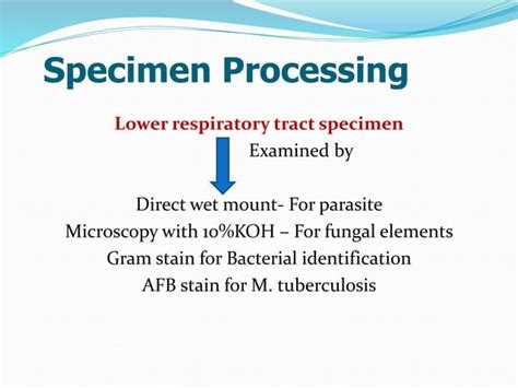 Sputum Sample Processingpptx