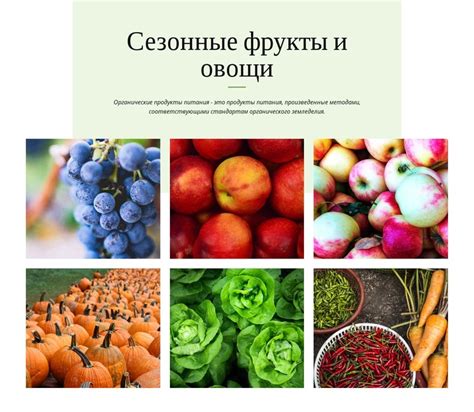 Картинка Шаблон Овощи Telegraph