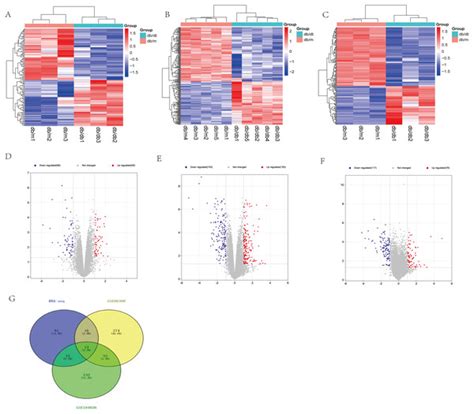 Bioinformatics Prediction And Experimental Verification Of Key Biomarkers For Diabetic Kidney
