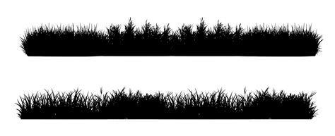 Grass Field Border Isolated On White Background Silhouette Garden Grass Lawn Horizontal