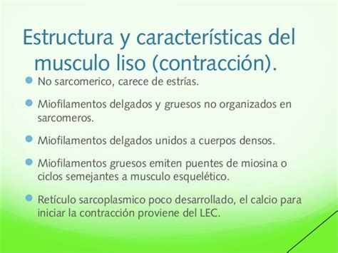 Propiedades Del Musculo Liso Breksenemepe