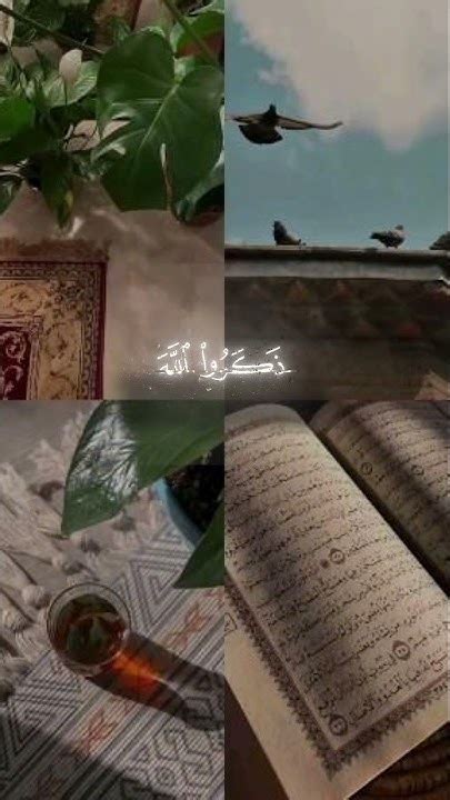 والذين إذا فعلوا فاحشة او ظلموا أنفسهم ذكروا الله فاستغفروا لذنوبهم