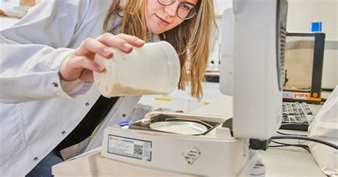 Rijst Zonder Toevoegingen Het Geheim Van Lassie Lassie Rijst