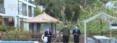 创新“三农”金融服务 助推乡村特色产业振兴新闻频道央视网