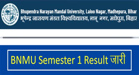 Bnmu Ug 1st Semester Result 2024 रिजल्ट जारी Ba Bsc Bcom Link Bnmu