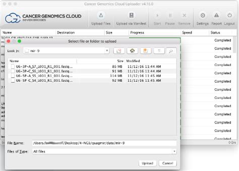 Quagmir A Cloud Based Application For Isomir Big Data Analytics Rna Seq Blog