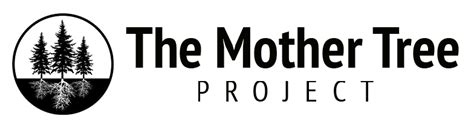 Home The Mother Tree Project