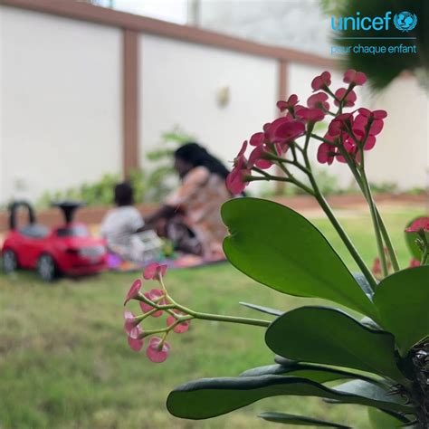 Unicef Benin On Twitter Unicef Bénin Souhaite Une Bonne Fête Des