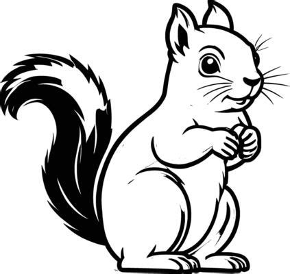 Squirrel Outline Vector Art Icons And Graphics For Free Download