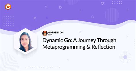 Dynamic Go A Journey Through Metaprogramming And Reflection